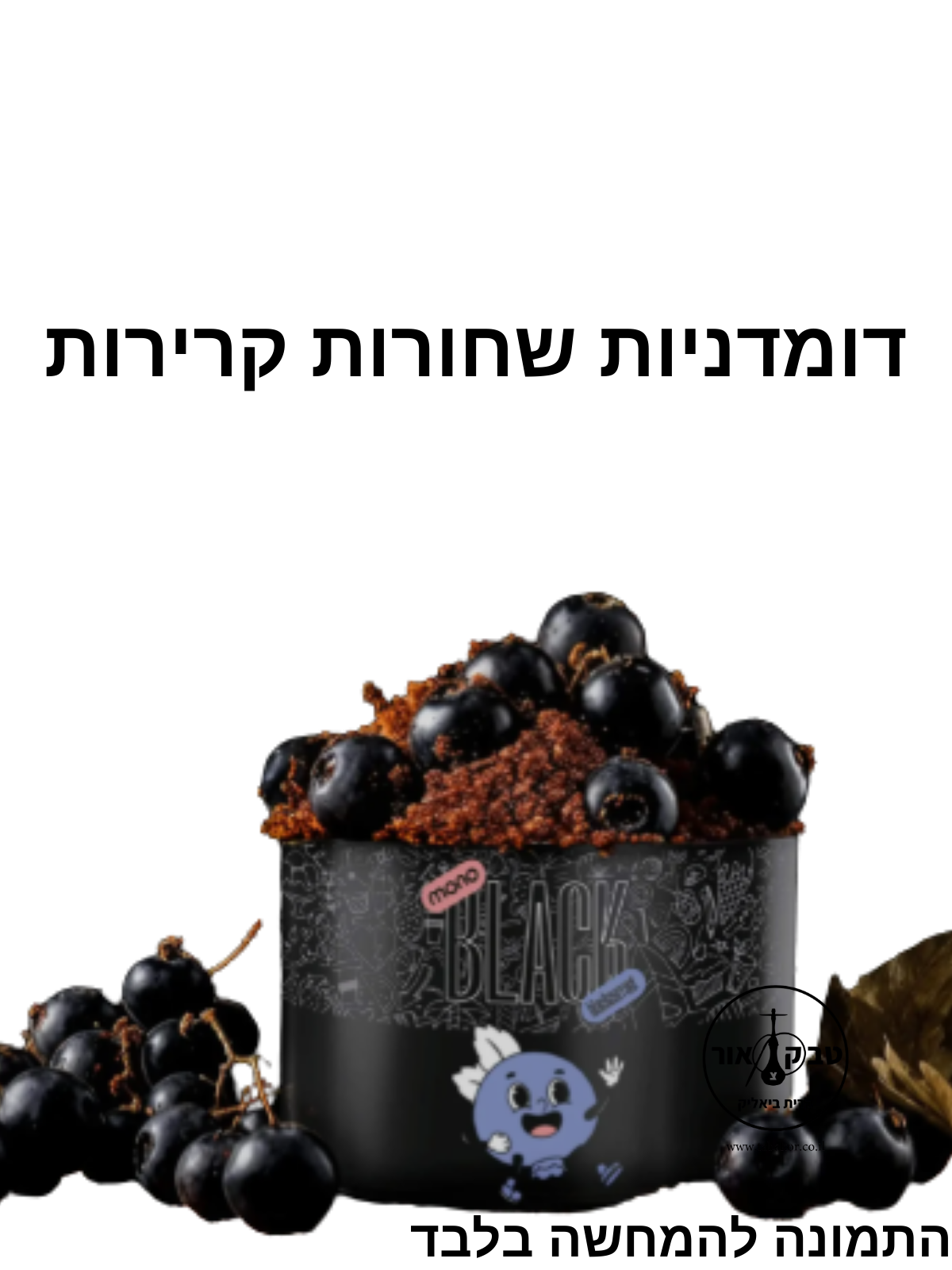 MONO BLACK 125g BLACKCURRANT – דומדמניות שחורות קרירות – טבק אור