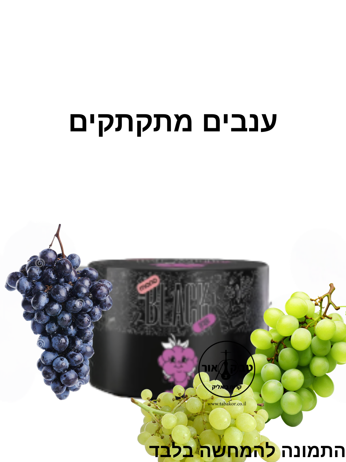 MONO BLACK 125g GRAPE – ענבים מתקתקים – טבק אור
